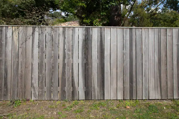 10 Privacy Fence Ideas to Upgrade Your Outdoor Space